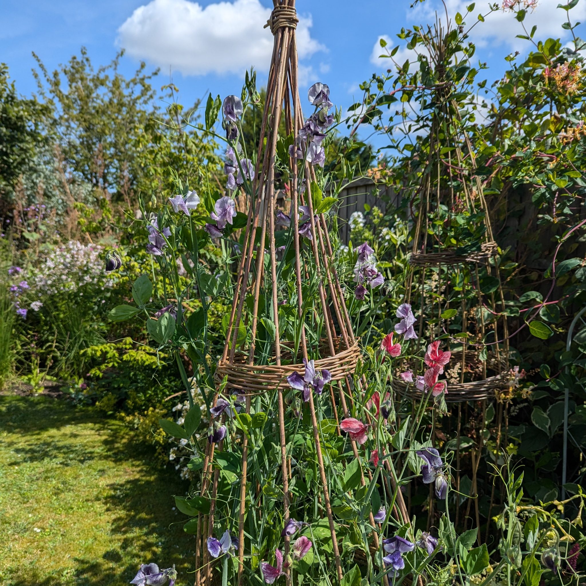 Willow Obelisk Workshop - Flowers from the Farm