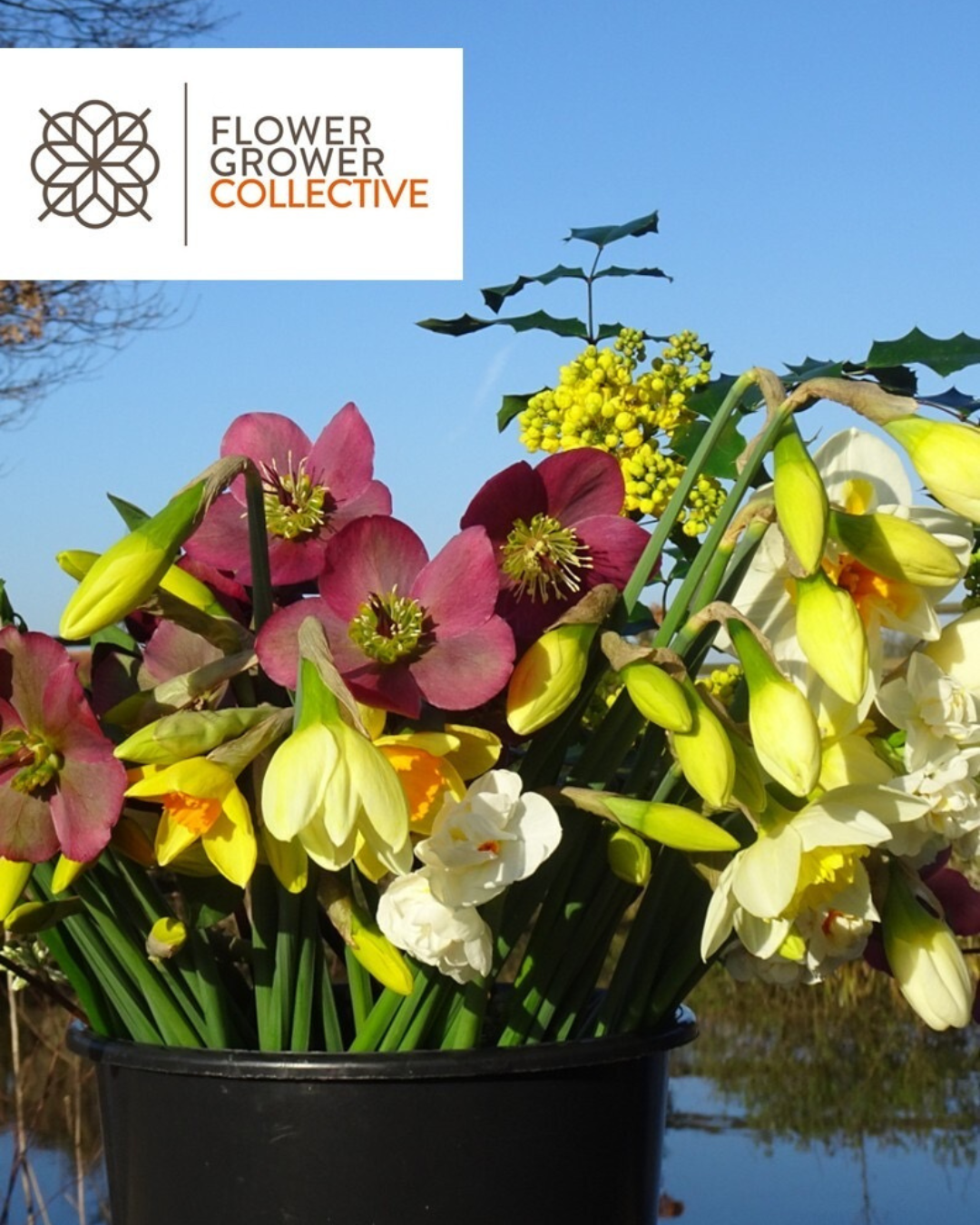 Flower Grower Collective | Flowers from the Farm